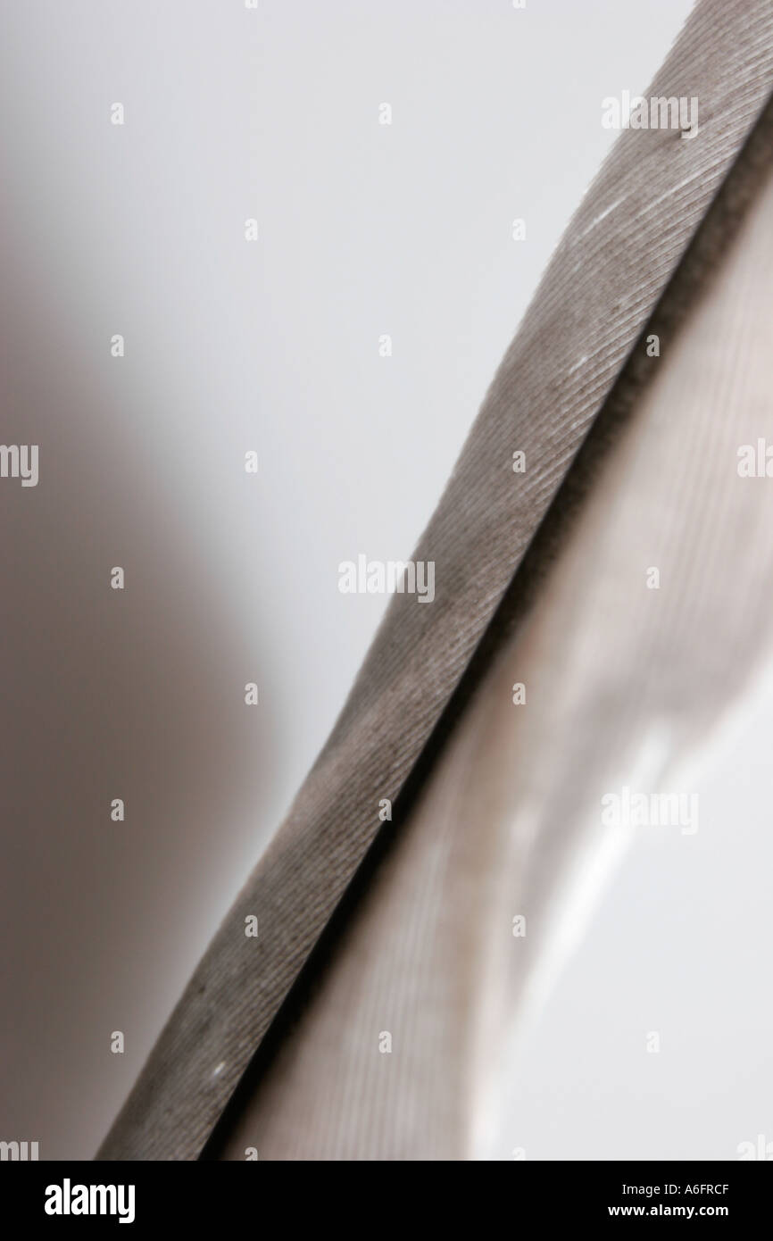 Bw detail hi-res stock photography and images - Alamy