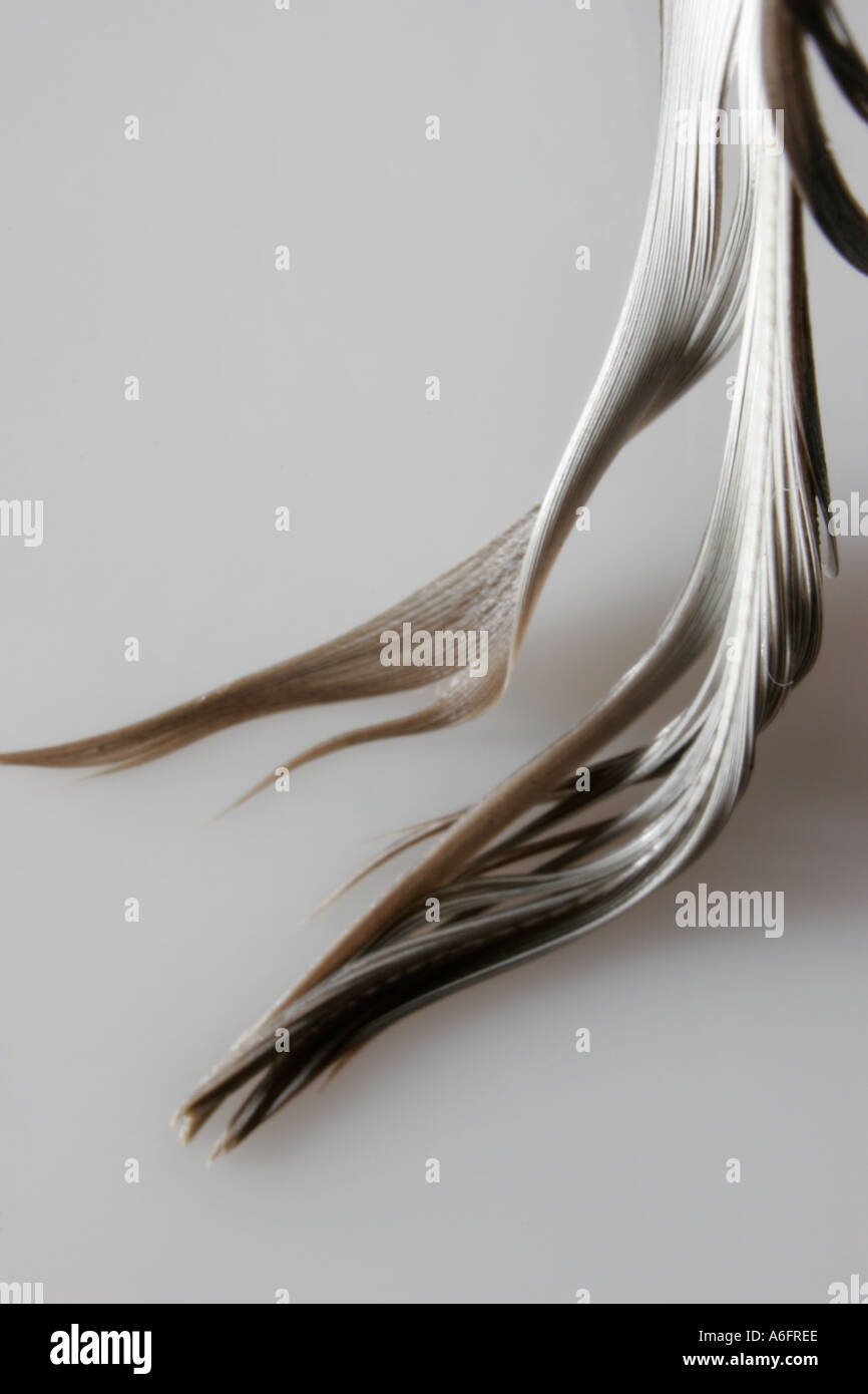 Serene picture pic photo photograph hi-res stock photography and images ...