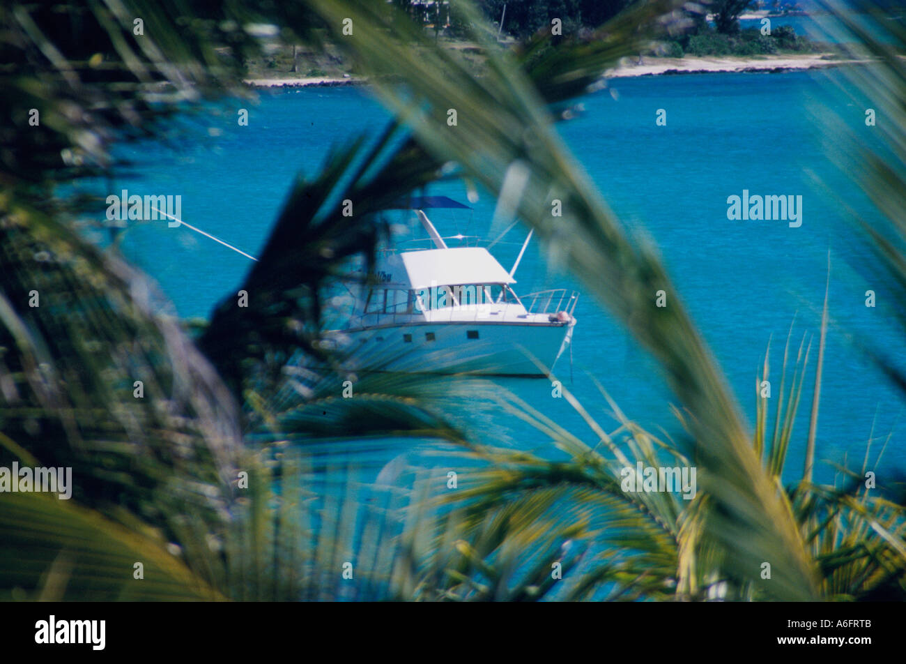 Modern fishing boat cruiser on the sea seen through palm trees ...