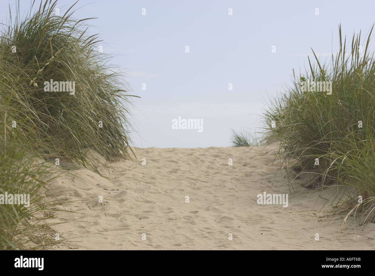 sandy walkway to a Cape Cod beach Stock Photo - Alamy