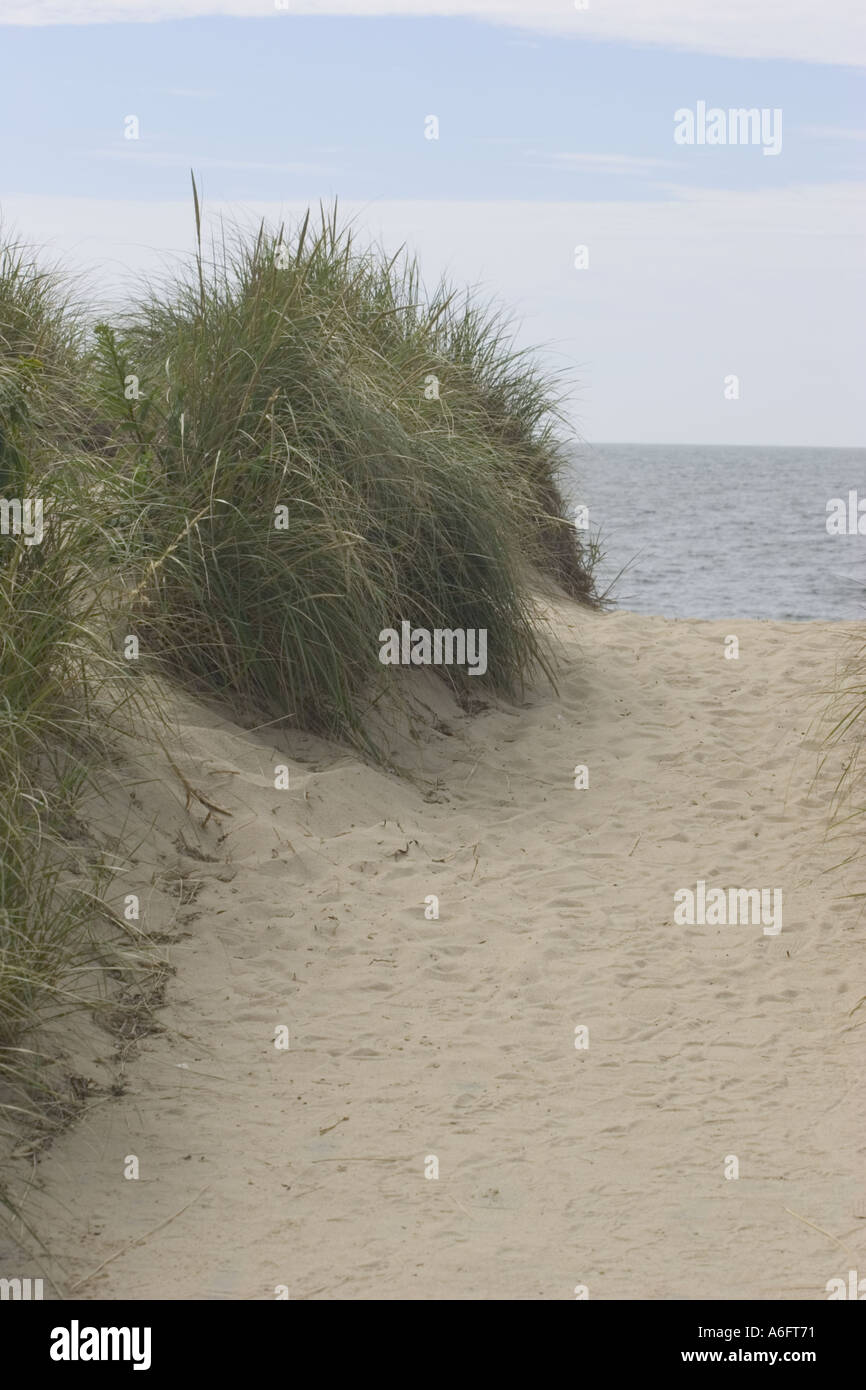 New england environment ecosystem ecology outdoors nature landscape ...