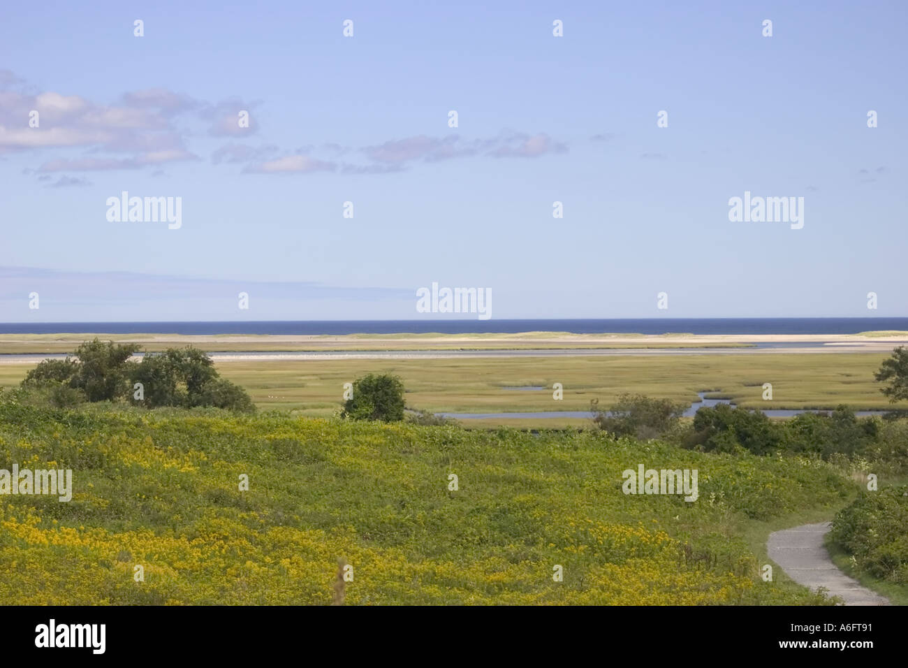 Cape Cod National Seashore Stock Photo - Alamy
