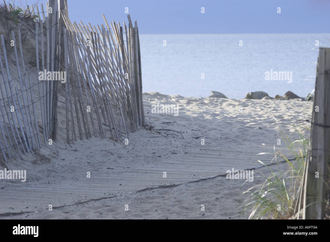 Early morning at a Cape Cod beach Stock Photo - Alamy