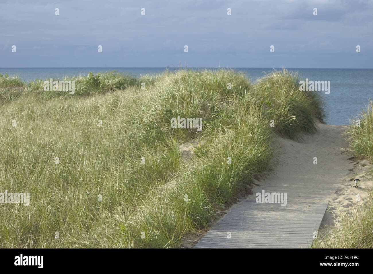 sandy walkway to a Cape Cod beach Stock Photo - Alamy