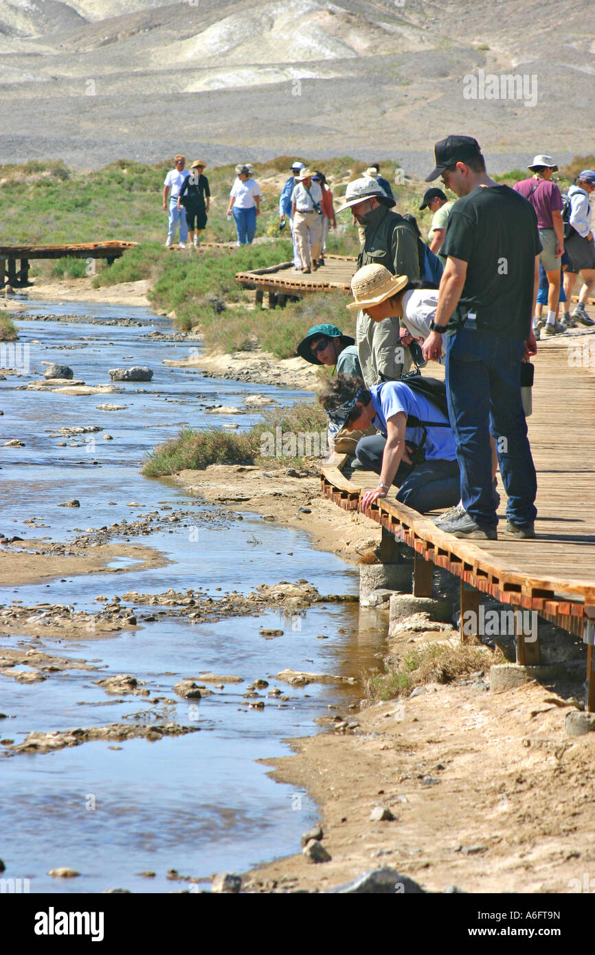 People on elevated wood walkway Salt Creek desert pupfish habitat Death ...