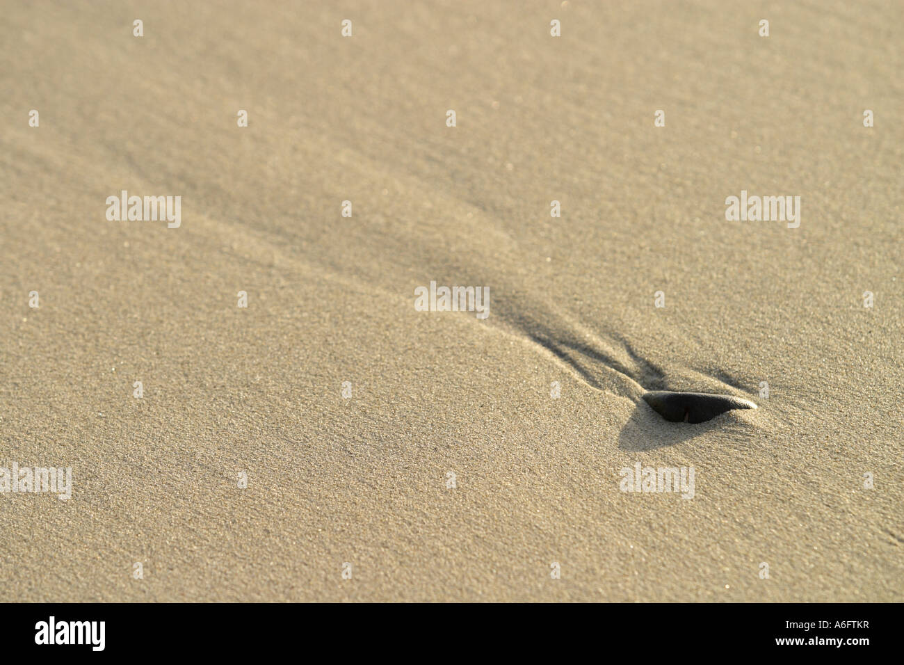 Lines of sand trail away from a lone rock on the beach at Big Sur on ...