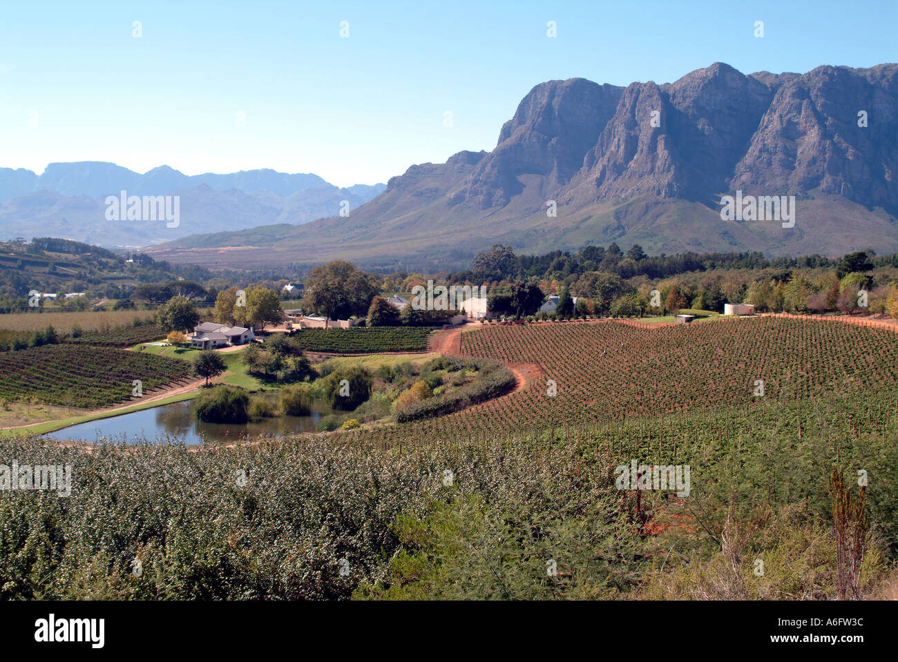 Alluvia Wine Estate Banhoek Valley Nr Stellenbosch Western Cape South ...