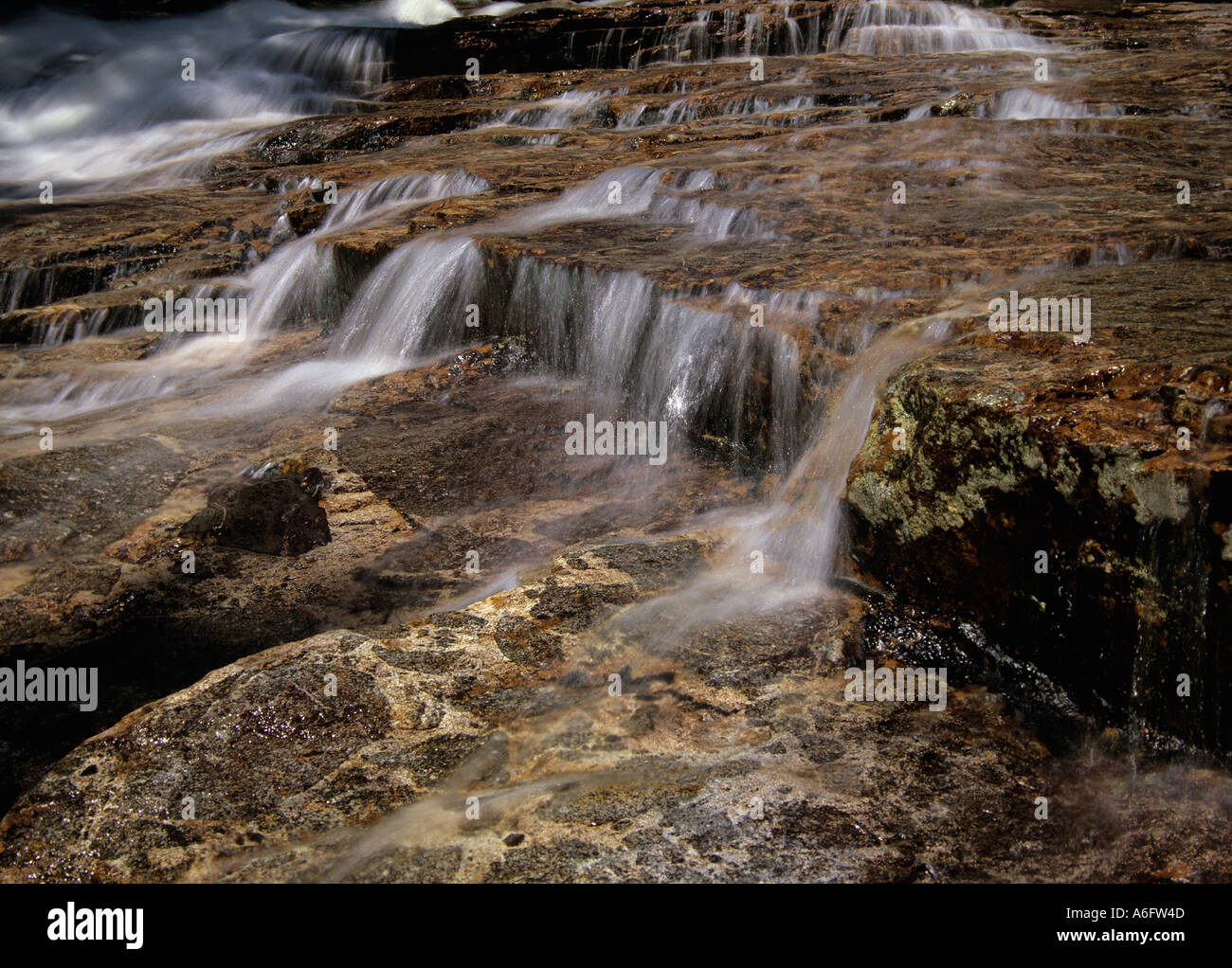 Cascade Brook which is located in the White Mountain National Forest of ...