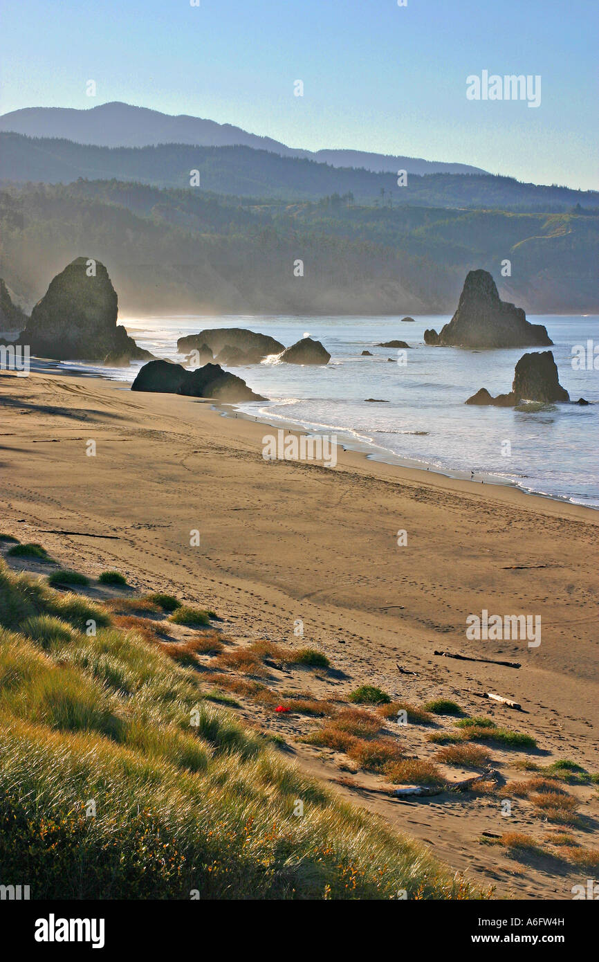 Beach and sea stacks at Port Orford Oregon Stock Photo - Alamy