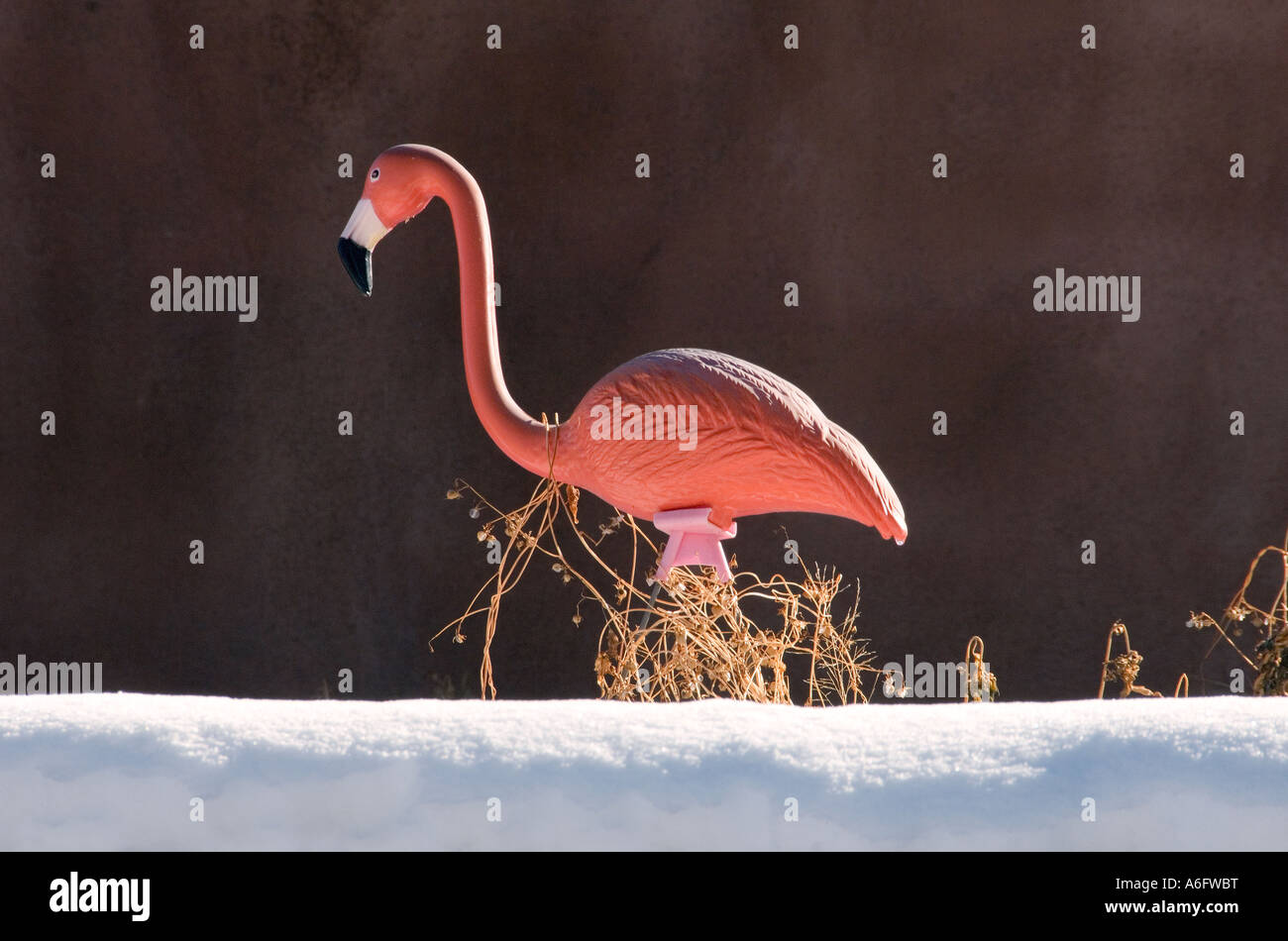 Pink flamingo garden ornament in snow Stock Photo - Alamy