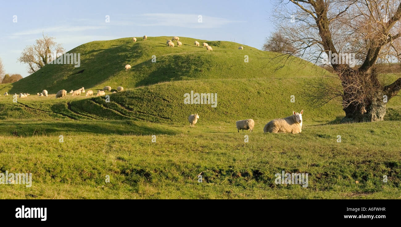 motte and bailey castle yelden bedfordshire Stock Photo - Alamy
