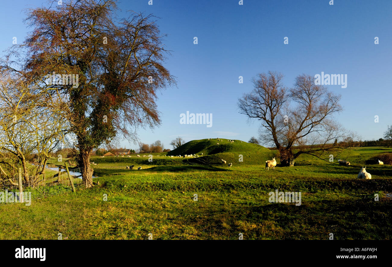 motte and bailey castle yelden bedfordshire Stock Photo - Alamy