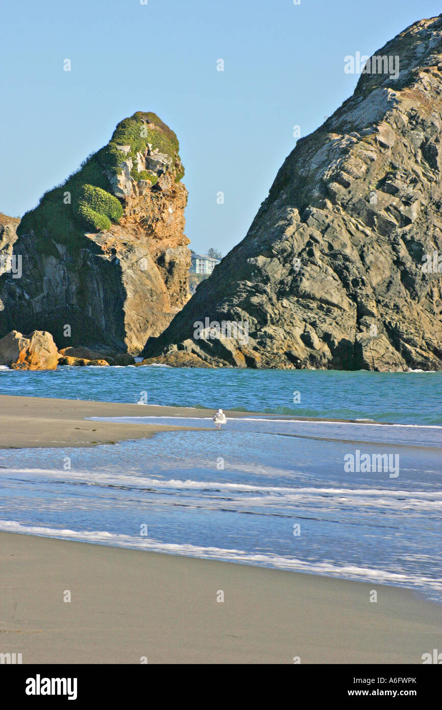Sea stack rock formations at beach in Harris Beach State Park near ...