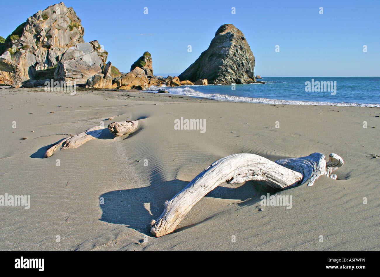 Driftwood and sea stack rock formations at beach in Harris Beach State ...