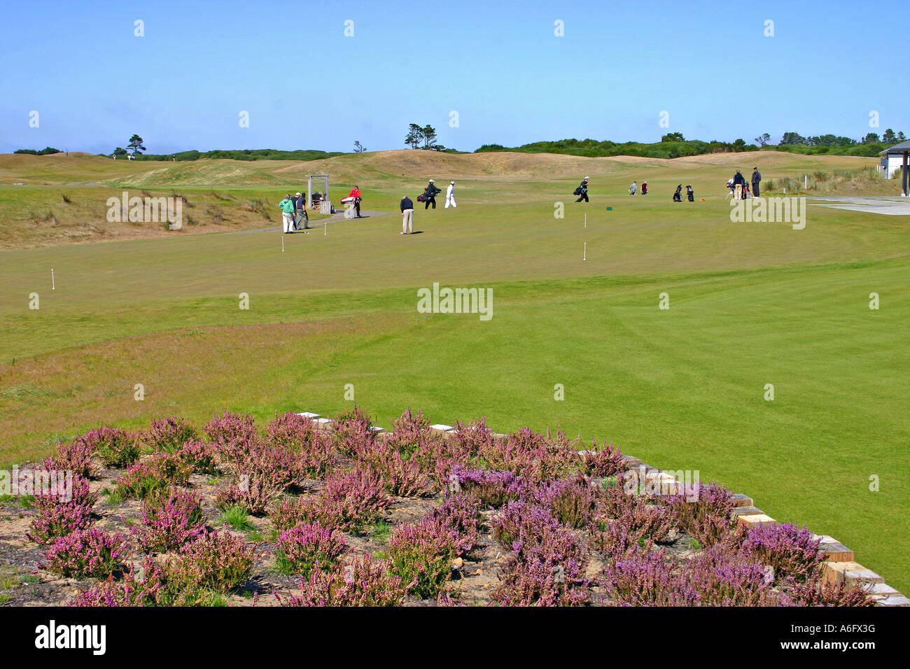 Golfers at Bandon Dunes Golf Resort Bandon Oregon Stock Photo - Alamy