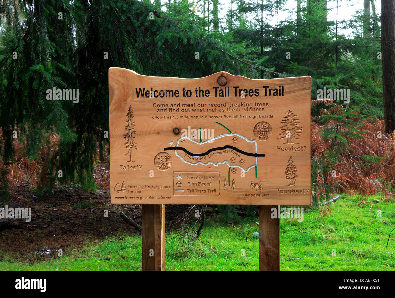 Tall trees trail sign hi-res stock photography and images - Alamy