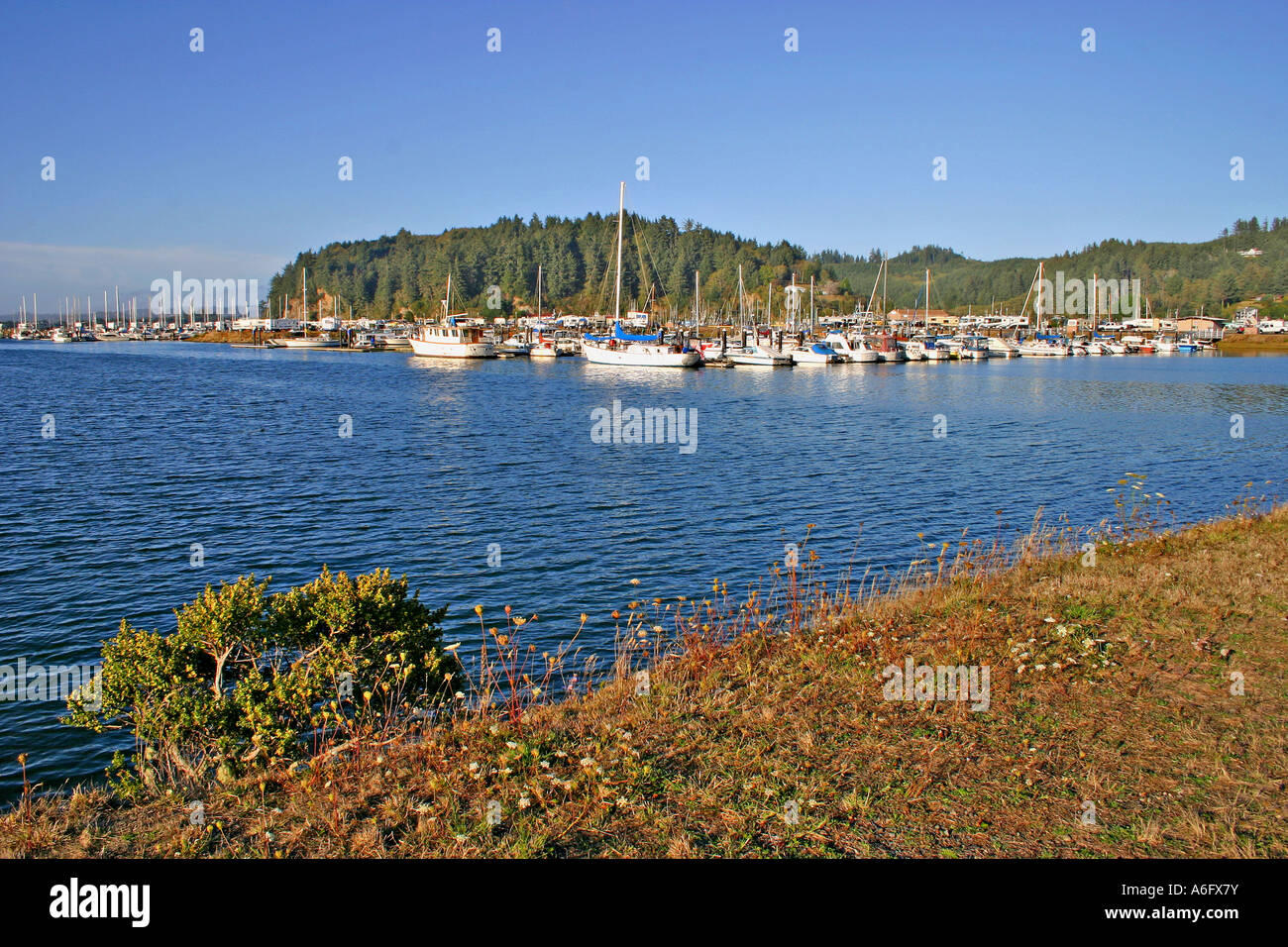 Reedsport oregon hi-res stock photography and images - Alamy
