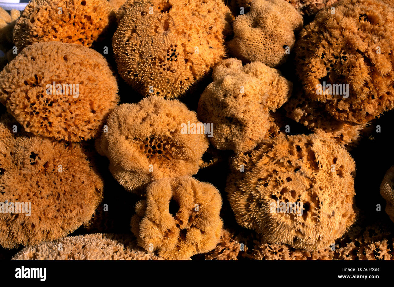 Turkey Mediterranean Coast Mugla Region Bodrum Sponge Stock Photo - Alamy
