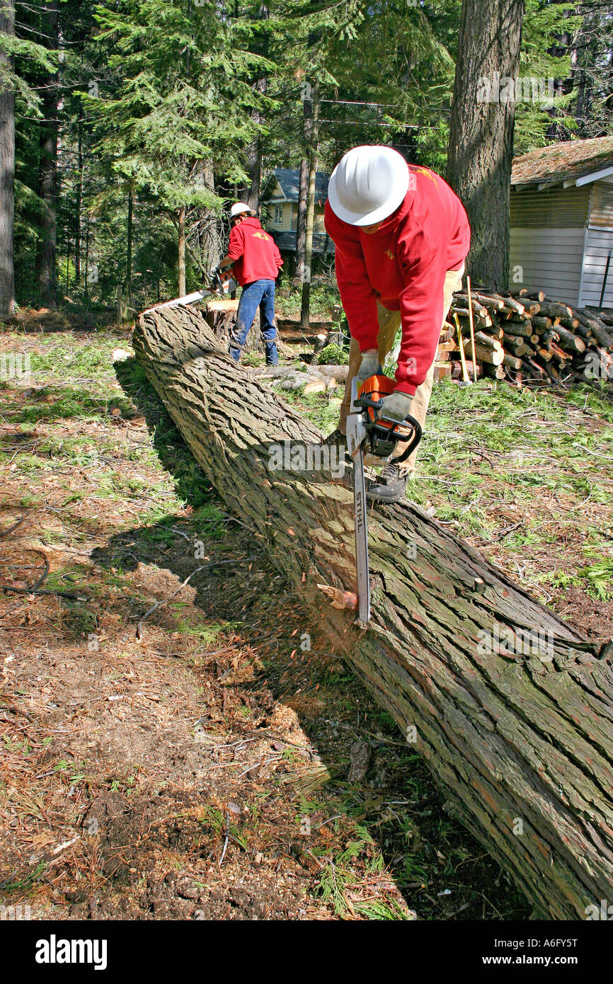 Crew cuts hi-res stock photography and images - Alamy