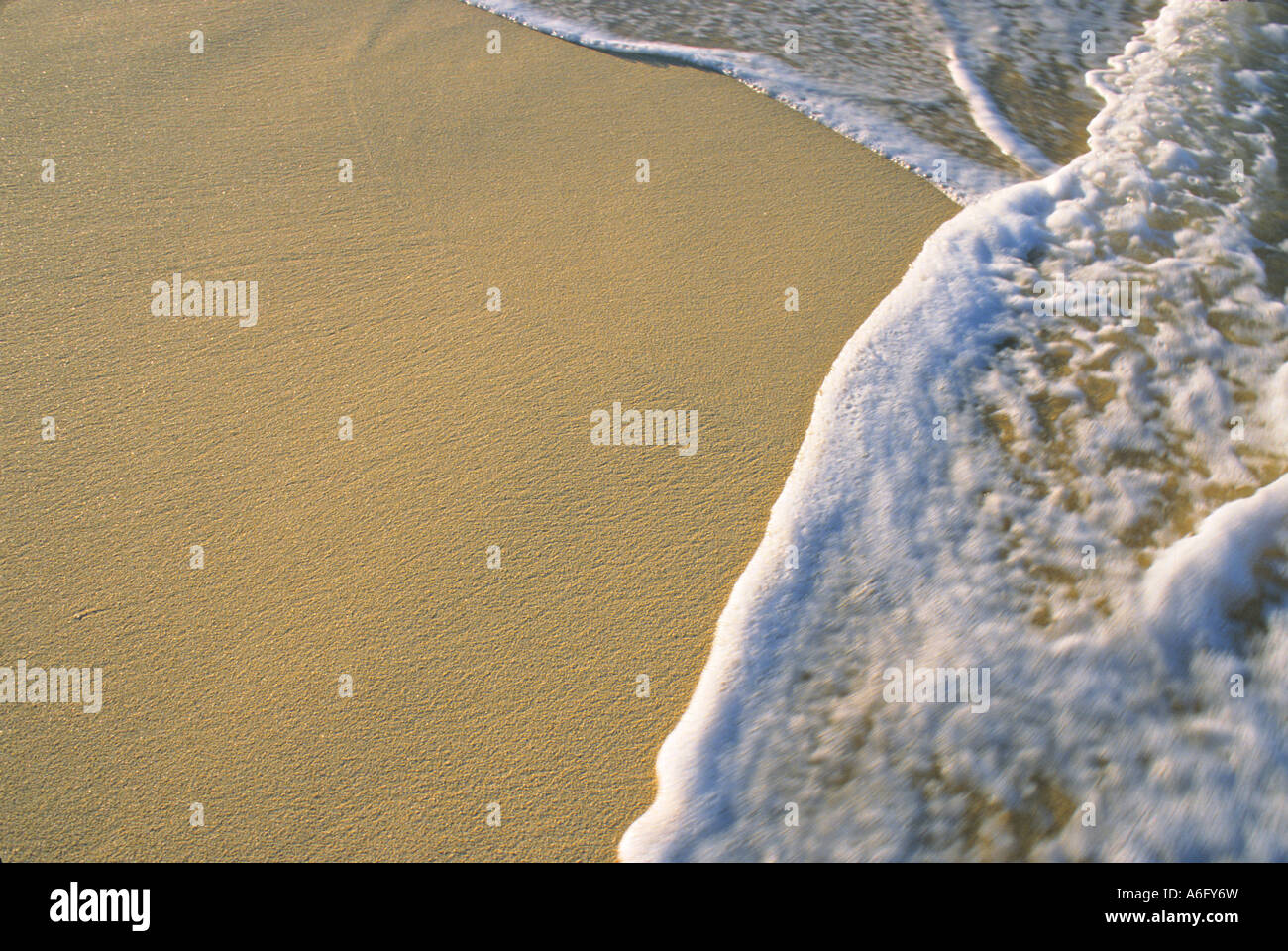 beach surf close up Stock Photo - Alamy