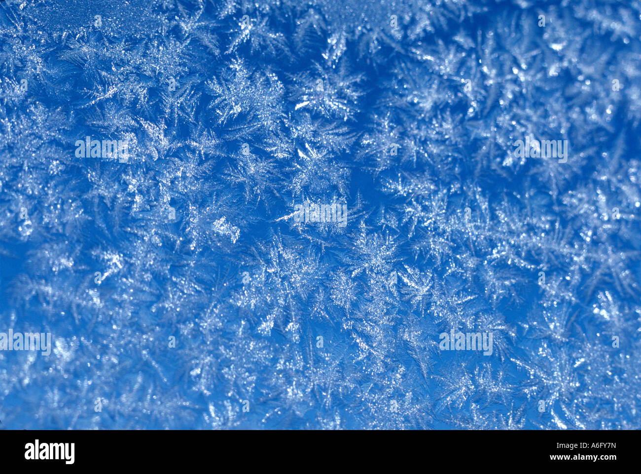 frost on glass Stock Photo - Alamy