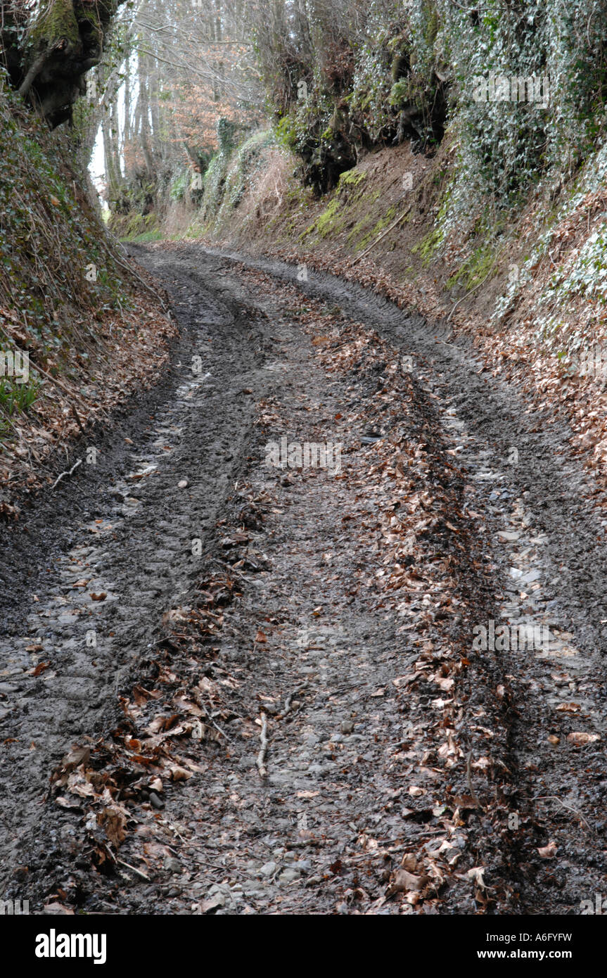 Hedges bocage hi-res stock photography and images - Alamy