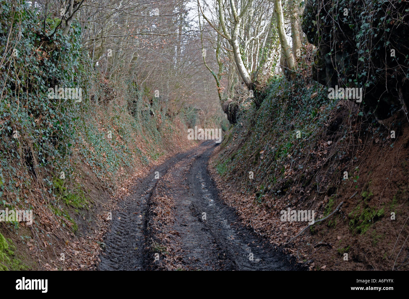 Ww2 Normandy Bocage High Resolution Stock Photography and Images - Alamy