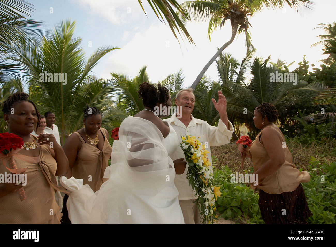 Wedding caribbean islands hi-res stock photography and images - Alamy