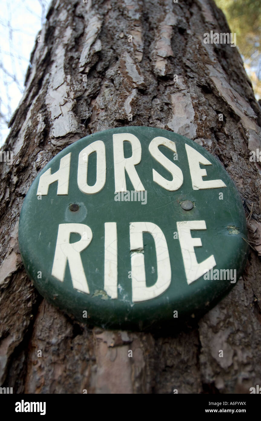 horse ride sign nailed to a tree showing direction of the bridalpath ...