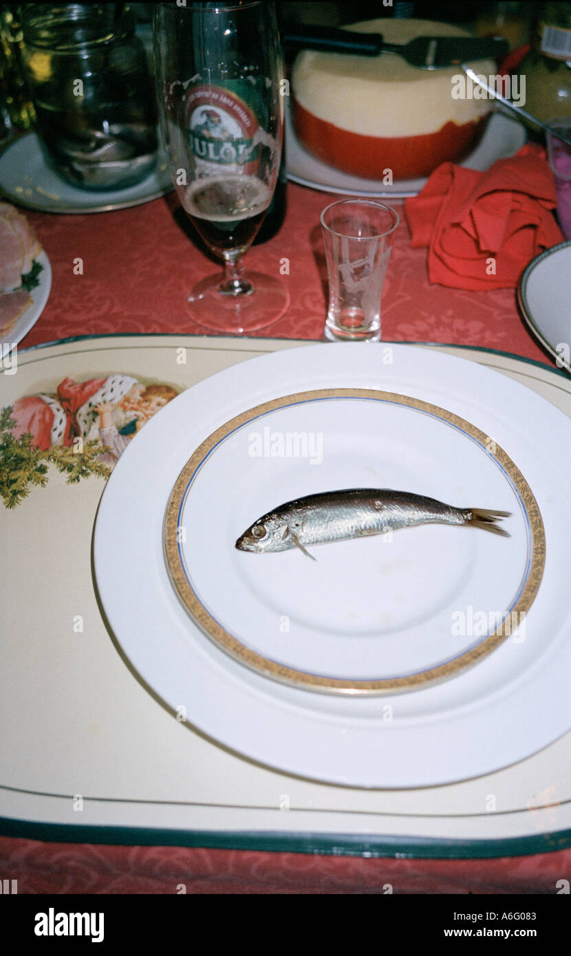 Lonely and pretty dull fish Stock Photo - Alamy