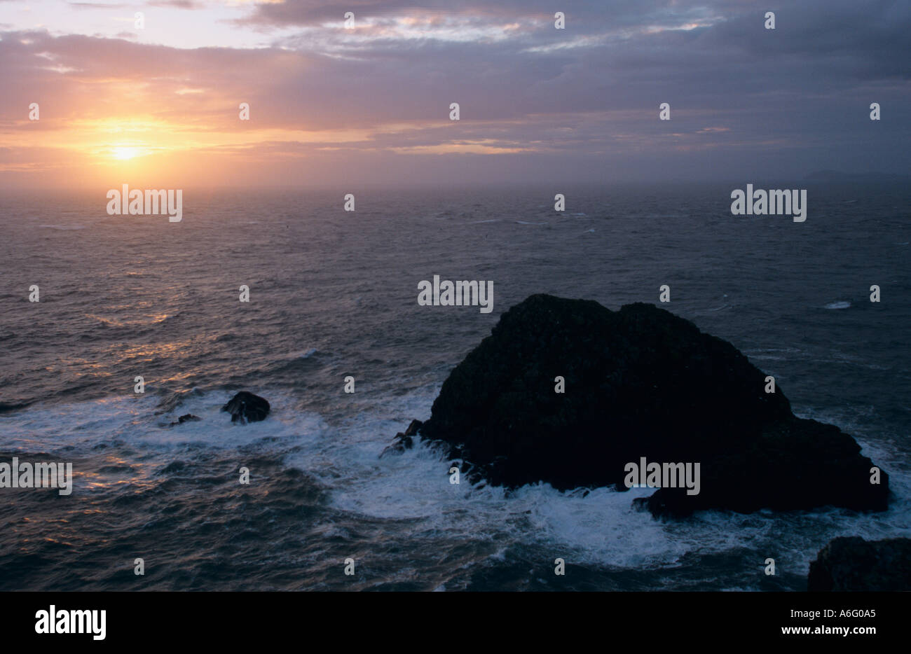 Wildlife west wales hi-res stock photography and images - Alamy
