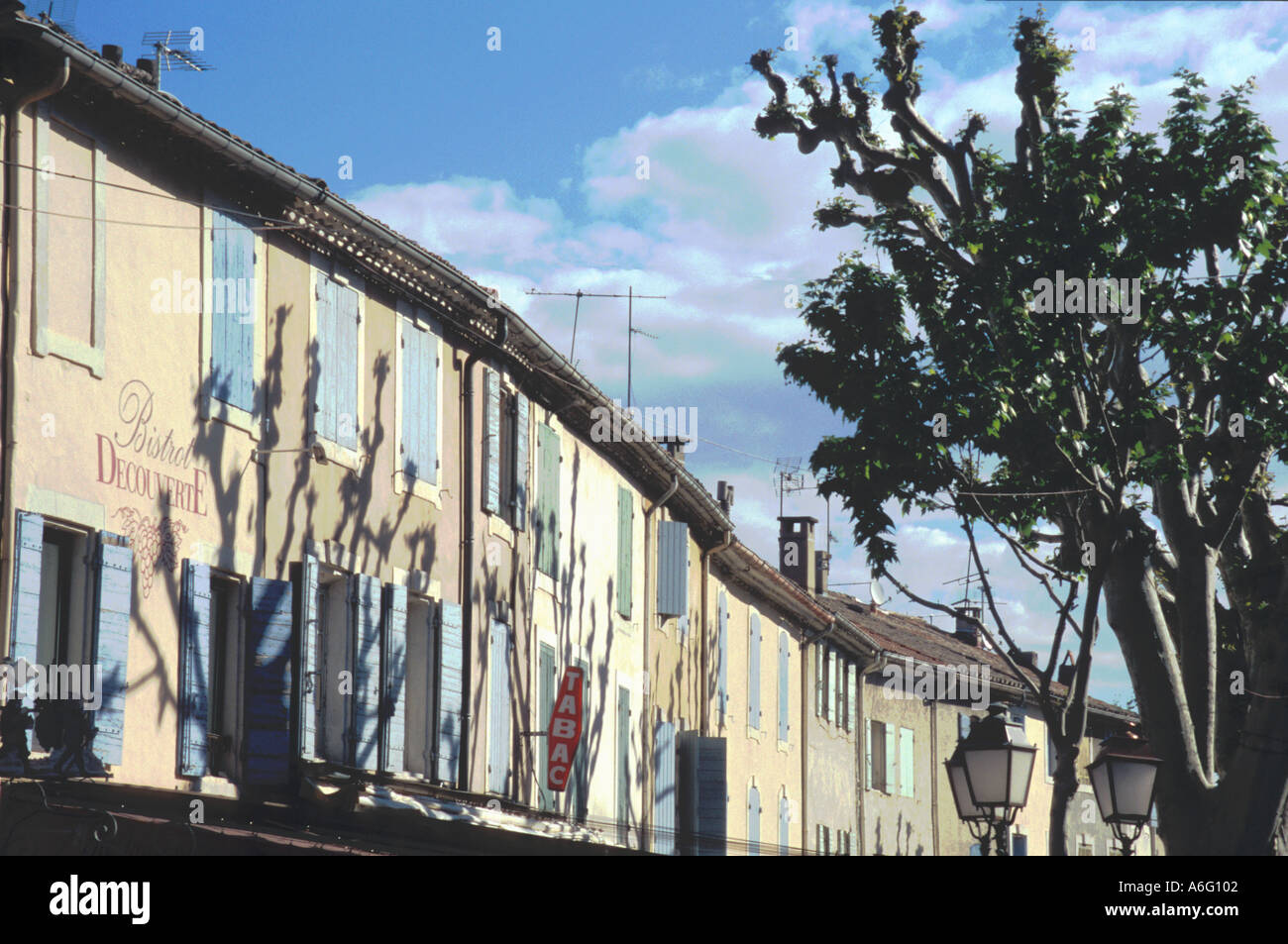 France Pollarded Trees French High Resolution Stock Photography and ...