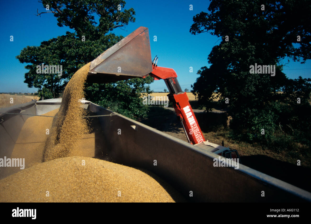 Loading bread hi-res stock photography and images - Alamy