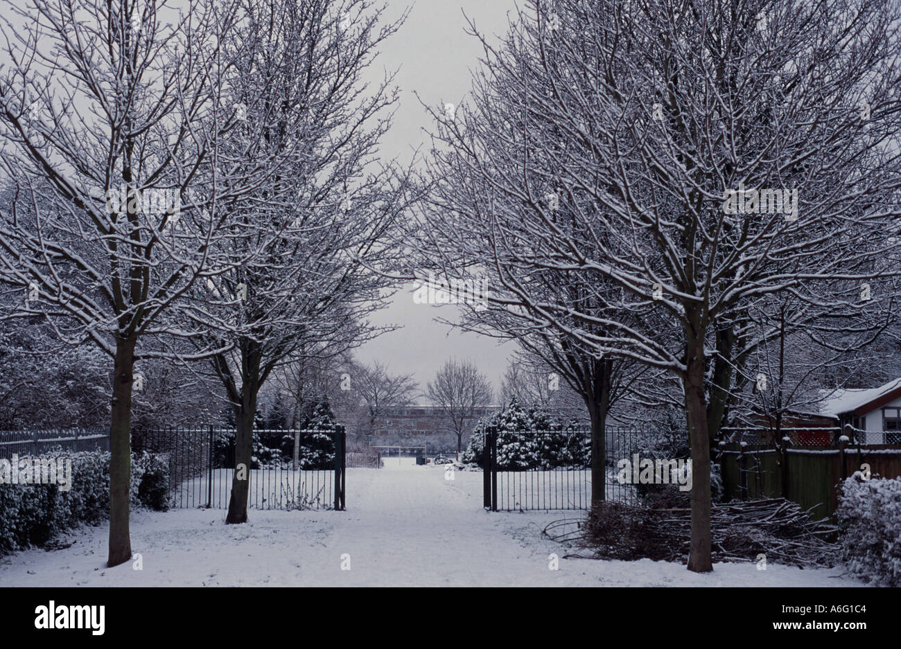 Trees and path covered with snow Heston Park Middlesex, England UK ...