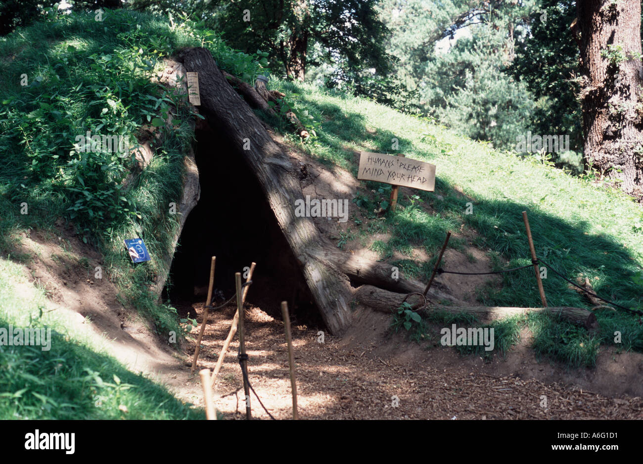 Badgers uk sett hi-res stock photography and images - Alamy