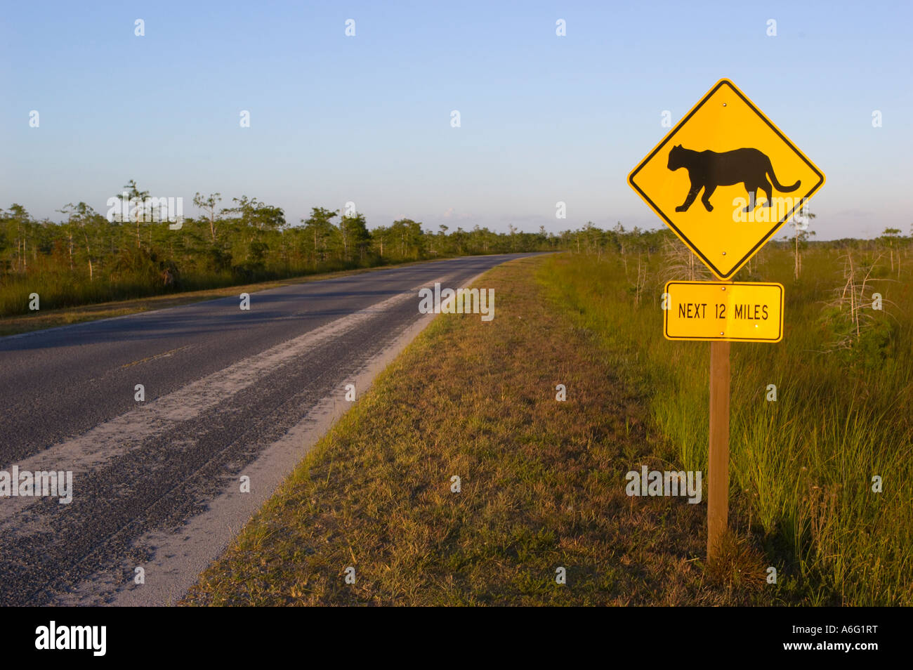 Wildlife warning road sign for the endangered species Florida panther ...