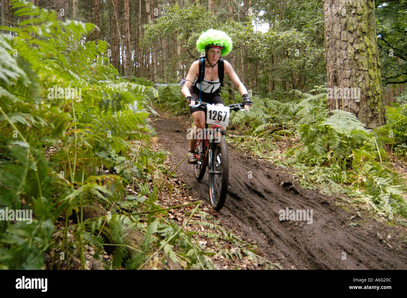 Racing through the woods in wig Stock Photo - Alamy