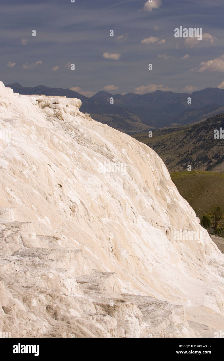 Canary Spring area Mammoth Hot Springs in Yellowstone National Park The ...