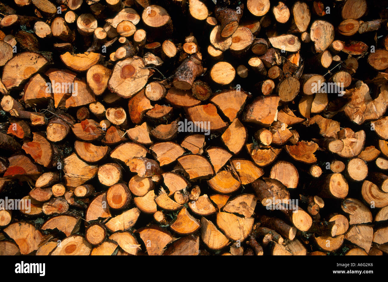 Abstract natural outdoors background image of split log pile for winter ...
