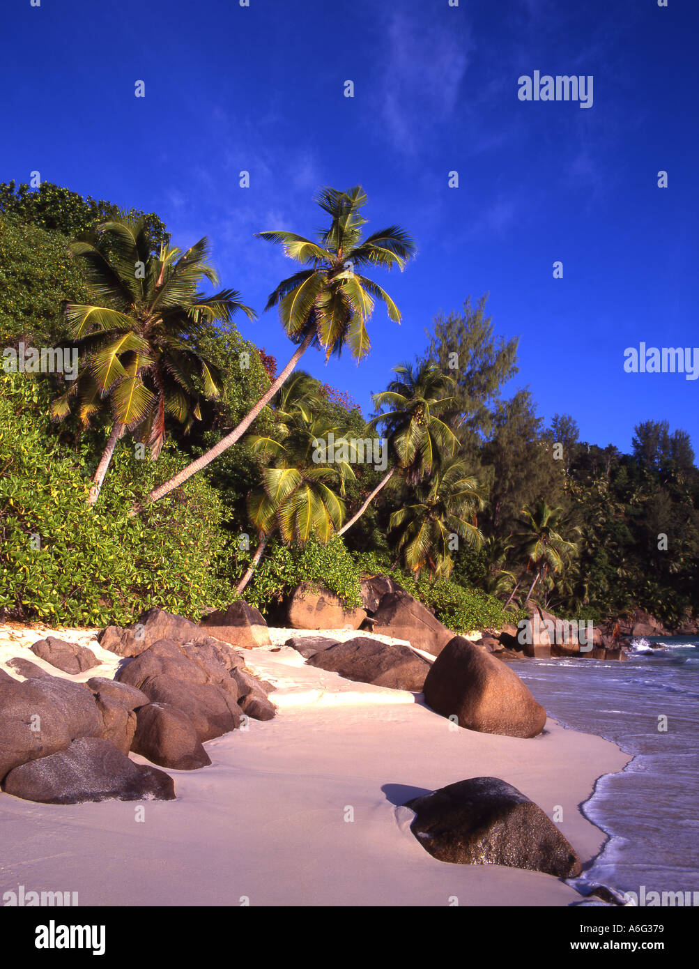 Seychelles Mahe Anse Intendance beach holiday Stock Photo - Alamy