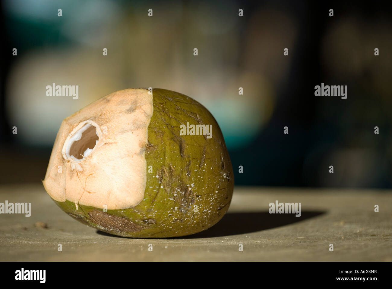 Coconut shell, Boca Chica, Dominican Republic, 1/07 Stock Photo - Alamy