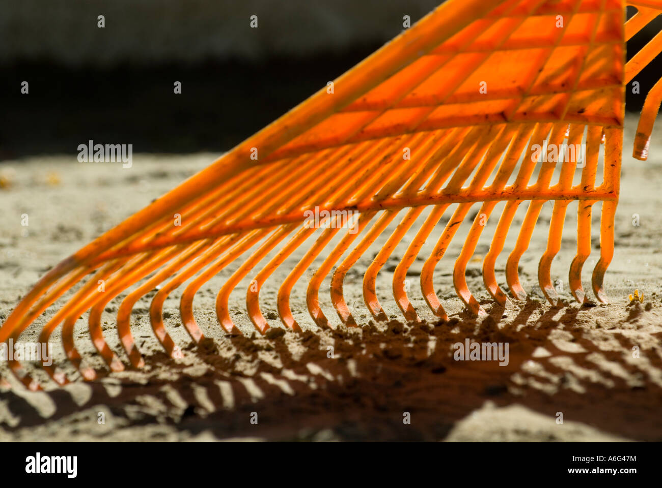 Beach Broom, Cabarete, Dominican Republic, 1/07 Stock Photo - Alamy