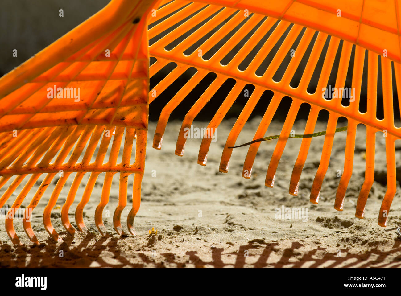 Beach Brooms, Cabarete, Dominican Republic, 1/07 Stock Photo - Alamy