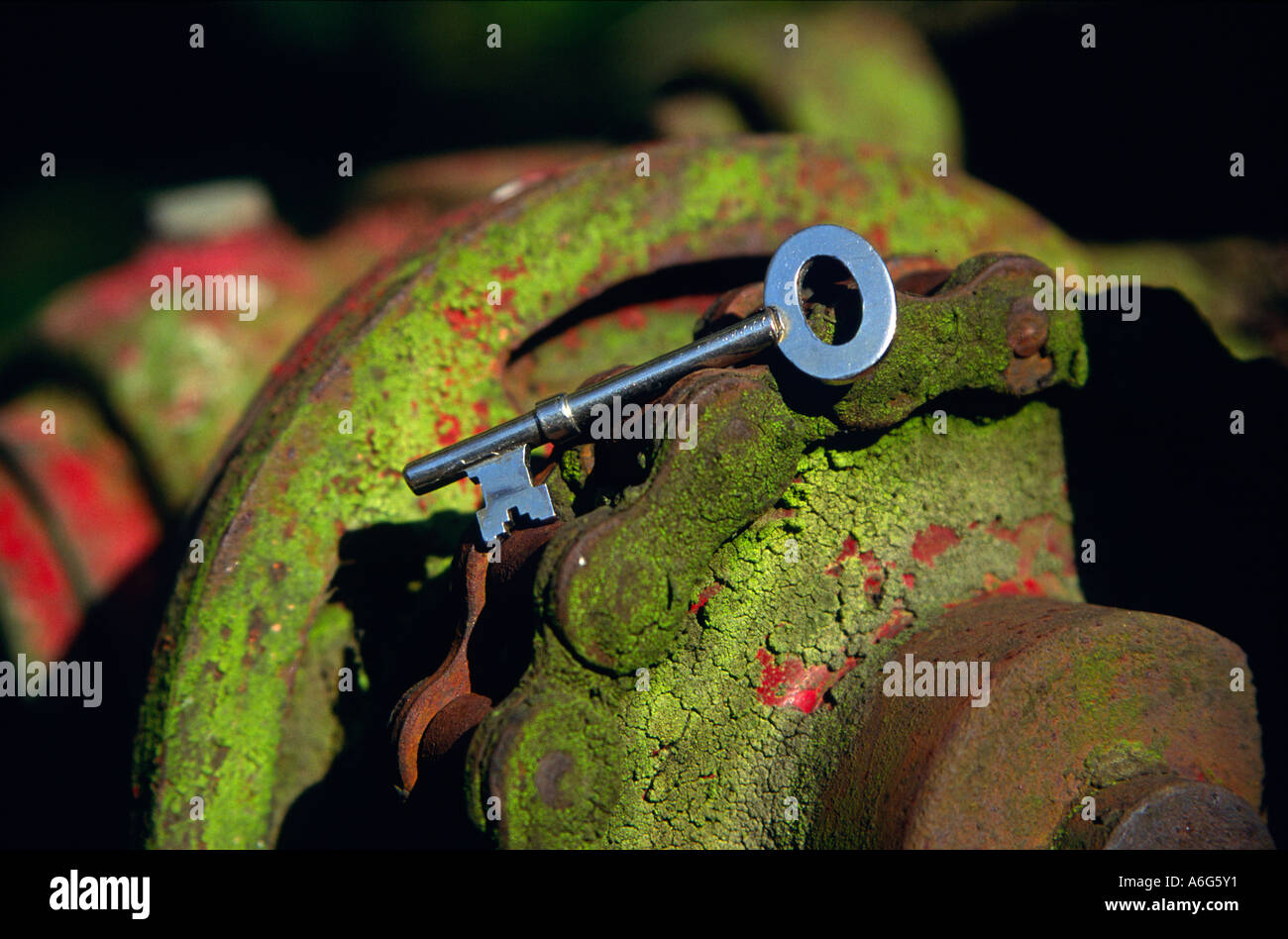 Abstract contradictory image of chrome plated key on an old ruined moss ...