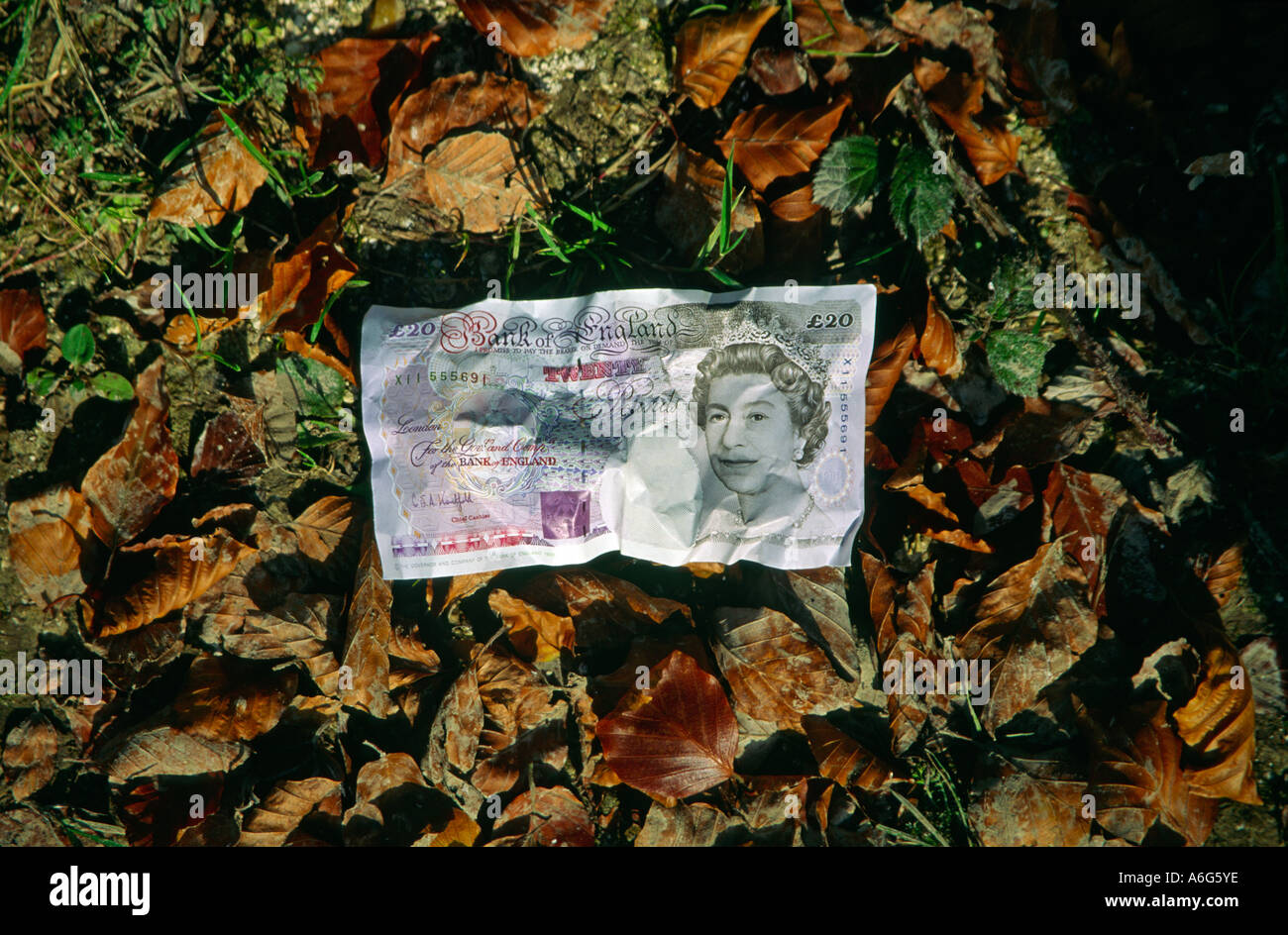 Abstract contradictory image of a crumpled five pound note outside on ...