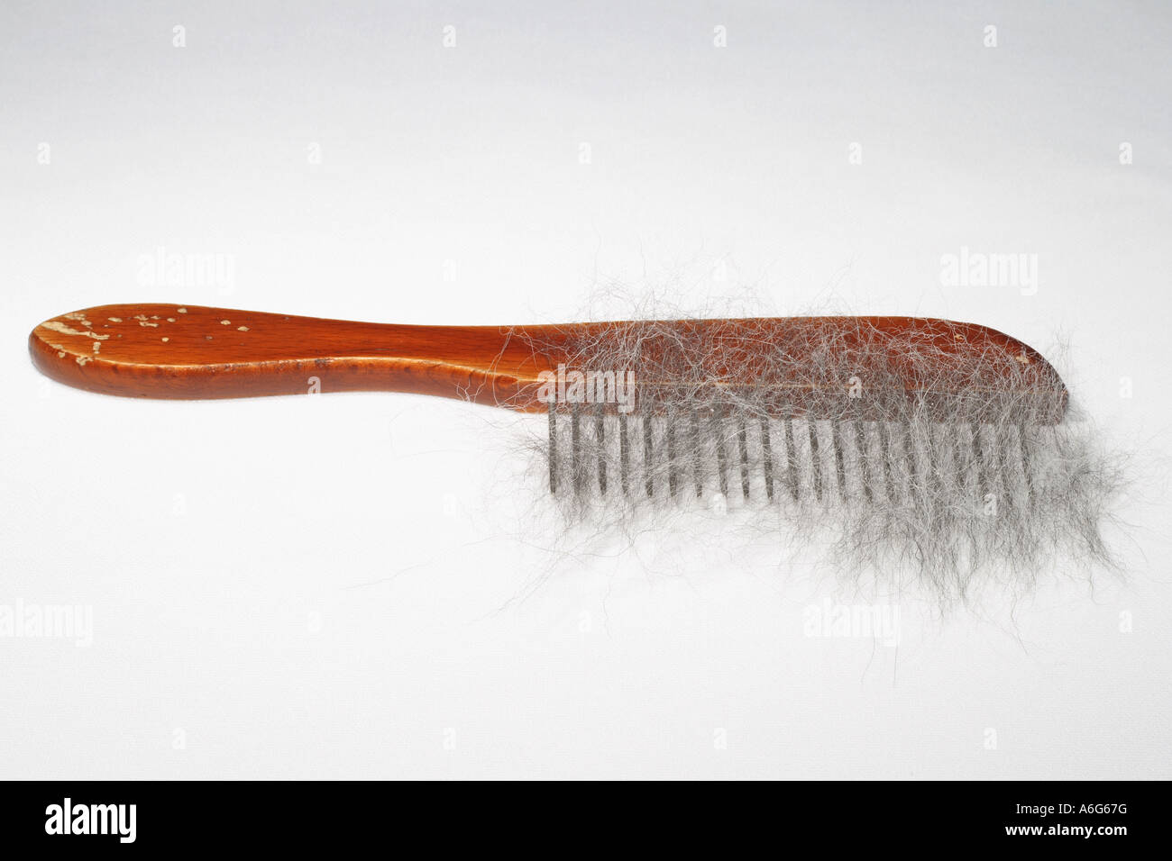 Husky brush hi-res stock photography and images - Alamy