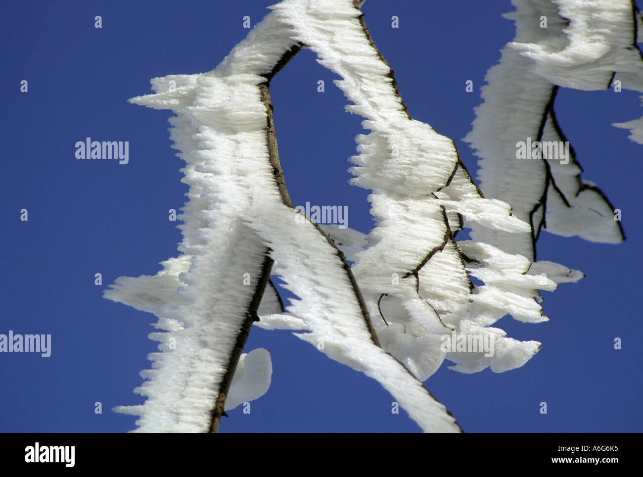 Winter icicles frozen ice spikes hi-res stock photography and images ...