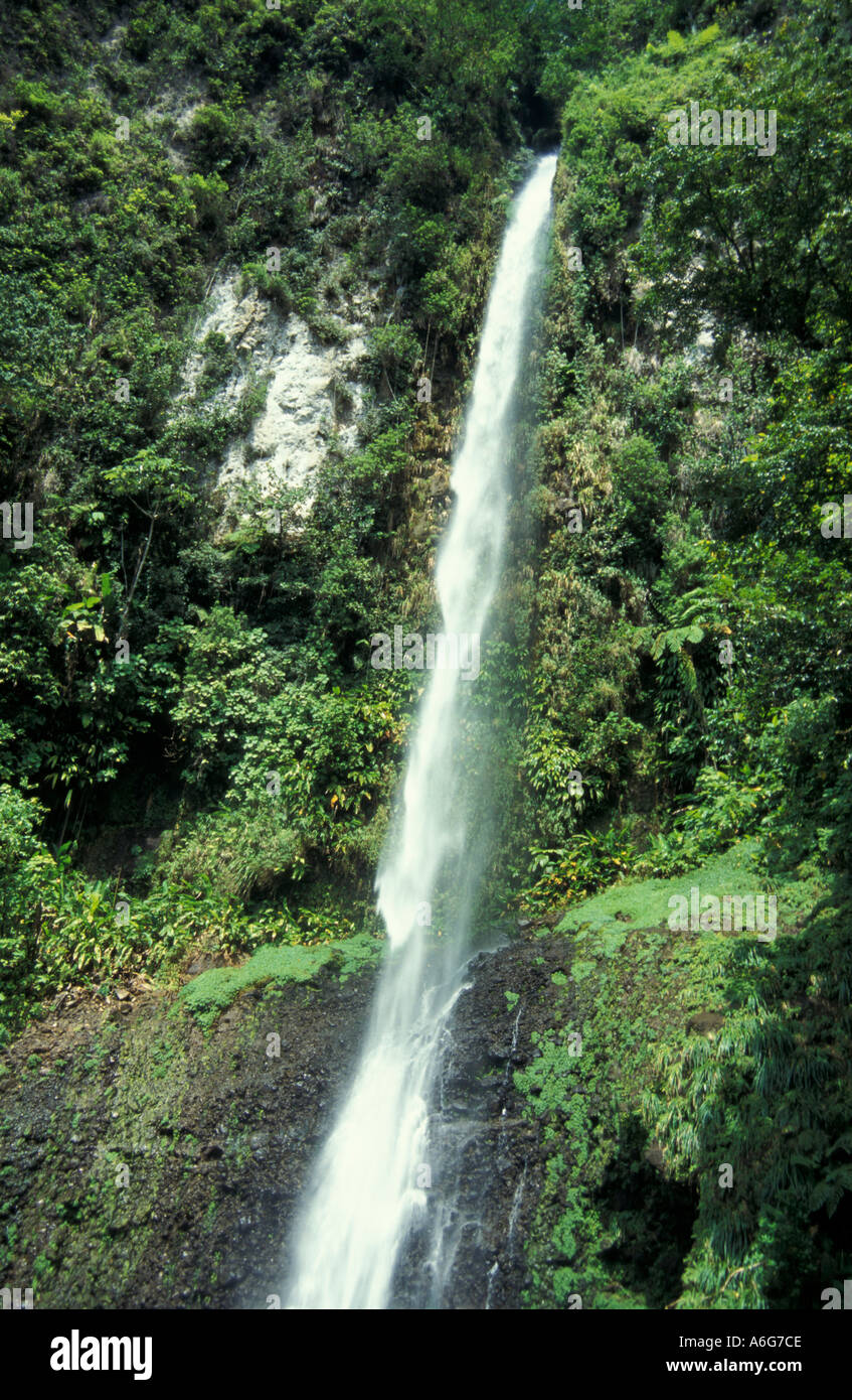 Middleham falls dominica hi-res stock photography and images - Alamy