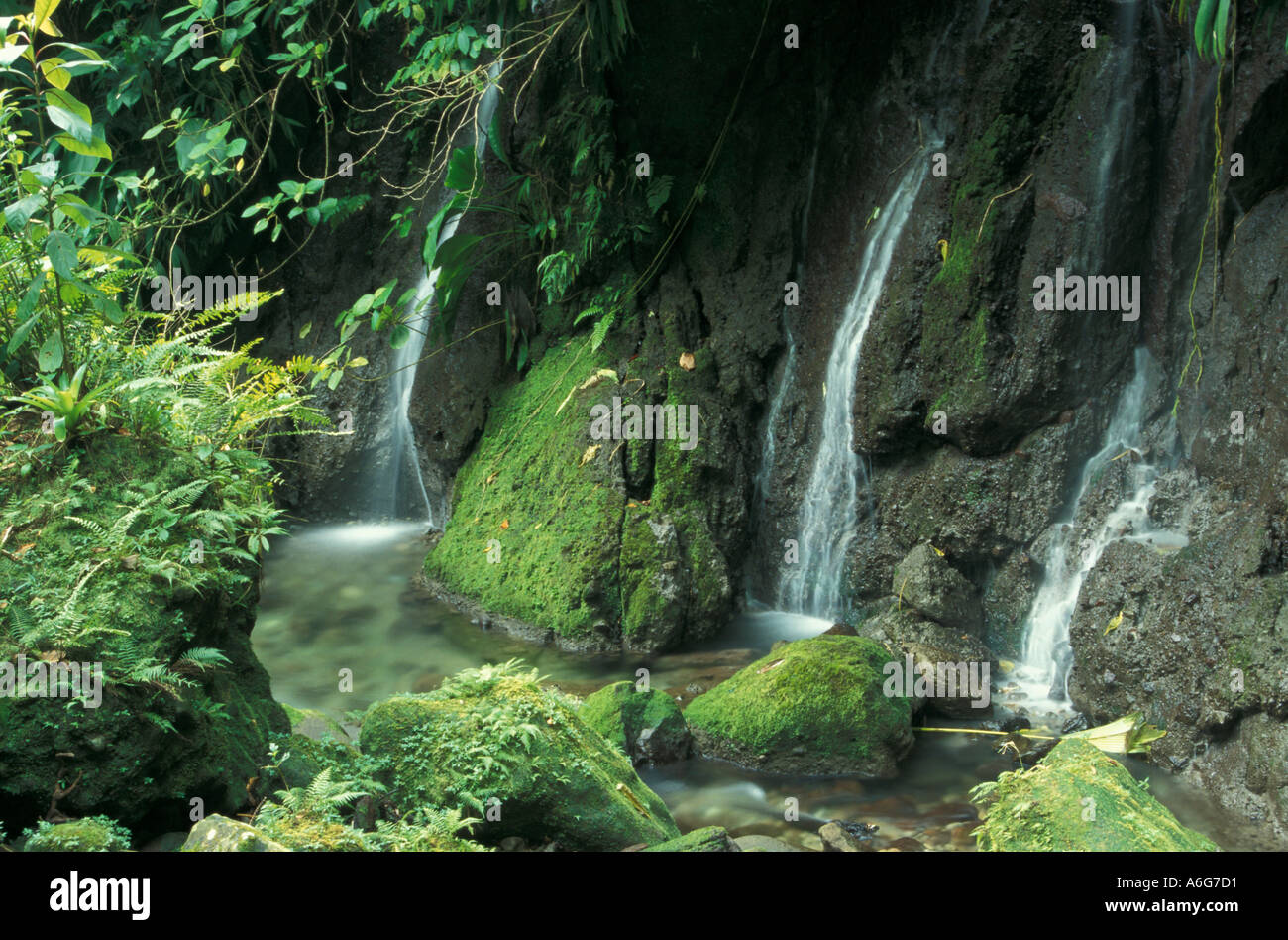 Middleham falls dominica hi-res stock photography and images - Alamy