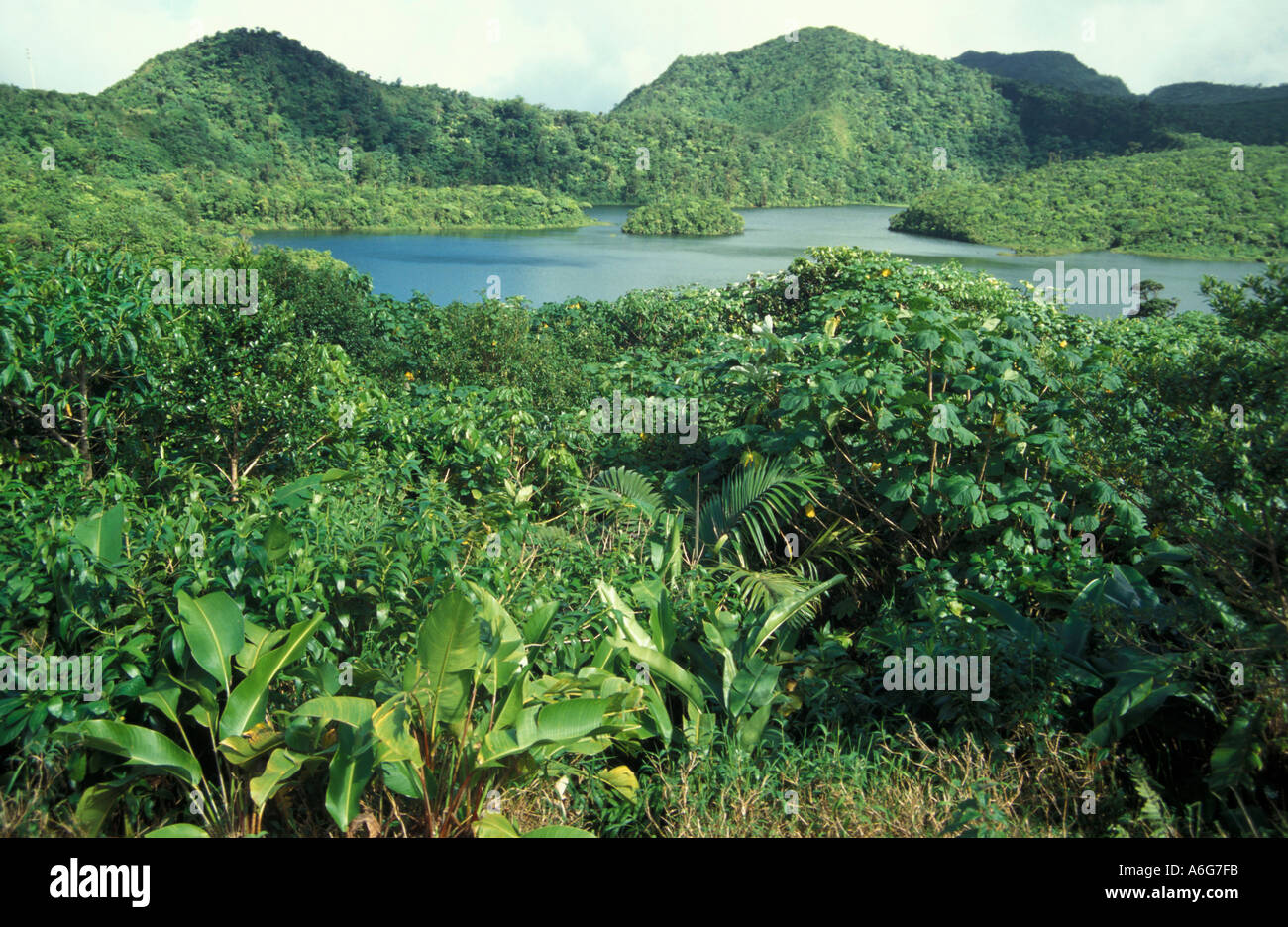 rainforest Freshwater Lake Stock Photo - Alamy